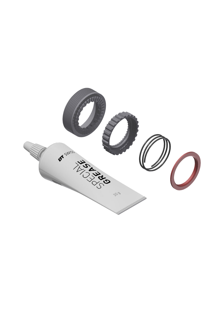 Kit d'entretien DT Swiss RATCHET 36T EXP - WeRideOnShop